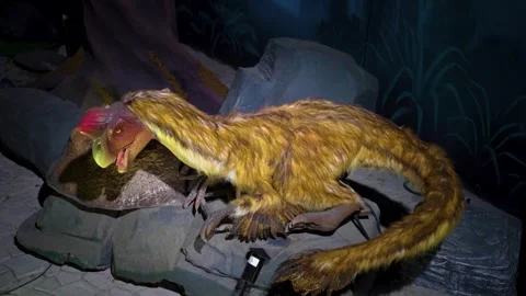 A view of the dragon in Jurassic Park | Stock Video | Pond5