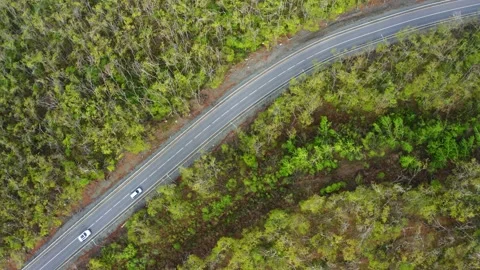View from a drone vertically down on an ... | Stock Video | Pond5