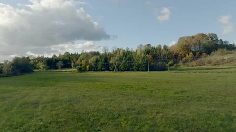 View of a field with green woods in the ... | Stock Video | Pond5