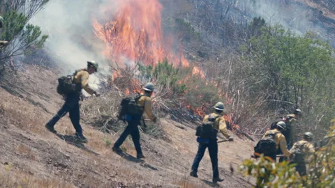 Backfire Stock Footage ~ Royalty Free Stock Videos | Pond5