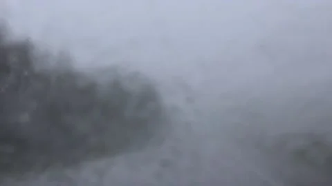 Hog Front View Stock Videos – Royalty-Free HD & 4K Videos