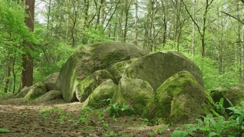 Measure Grave Stock Footage ~ Royalty Free Stock Videos | Pond5