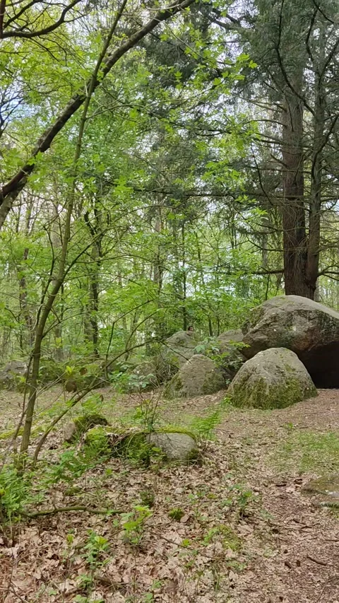 Measure Grave Stock Footage ~ Royalty Free Stock Videos | Pond5
