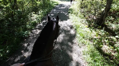 View of horse's neck and head. First per... | Stock Video | Pond5