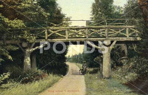 View of the imitation tree trunks bridge of reinforced concrete over ...