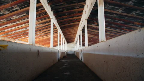 view of the inside of an empty pig farm ... | Stock Video | Pond5
