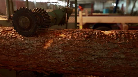 View of log moving by automated machine | Stock Video | Pond5
