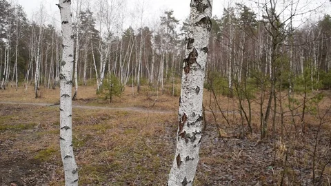 Nature Russian Naked Stock Videos – Royalty-Free HD & 4K Videos