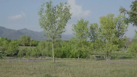 A view of Margala Hills from Islamabad b... | Stock Video | Pond5