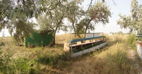 View on Objects of The Past Inventory in... | Stock Video | Pond5