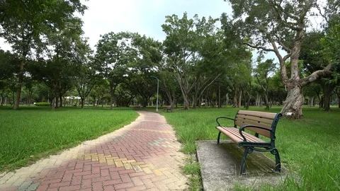 The view of park in the city. Natural sc... | Stock Video | Pond5