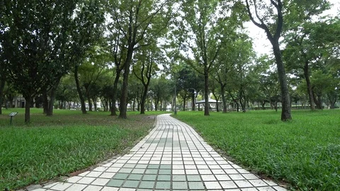 The view of park in the city. Natural sc... | Stock Video | Pond5