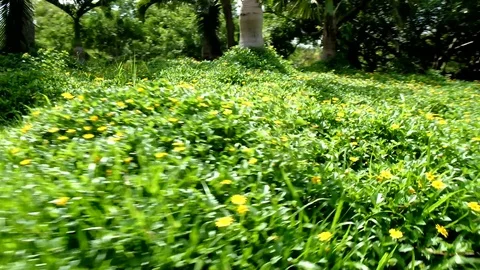 The view of park in the city. Natural sc... | Stock Video | Pond5