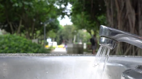 The view of park in the city. Natural sc... | Stock Video | Pond5