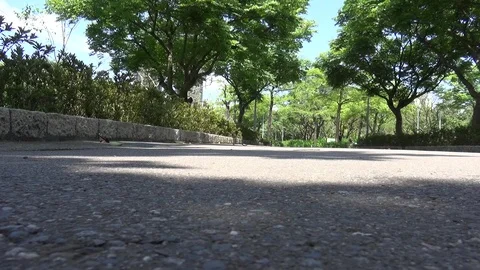 The view of park in the city. Natural sc... | Stock Video | Pond5