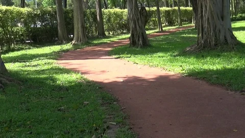 The view of park in the city. Natural sc... | Stock Video | Pond5