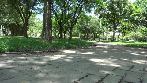 The view of park in the city. Natural sc... | Stock Video | Pond5