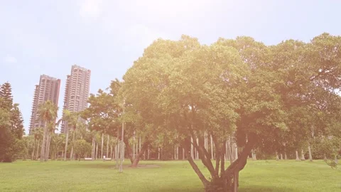 The view of park in the city. Natural sc... | Stock Video | Pond5
