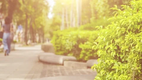 The view of park in the city. Natural sc... | Stock Video | Pond5