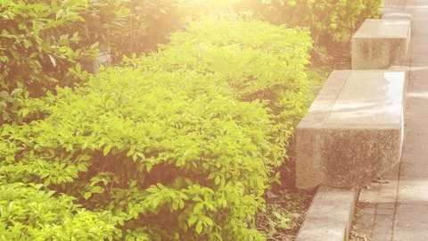 The view of park in the city. Natural sc... | Stock Video | Pond5