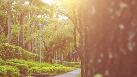 The view of park in the city. Natural sc... | Stock Video | Pond5