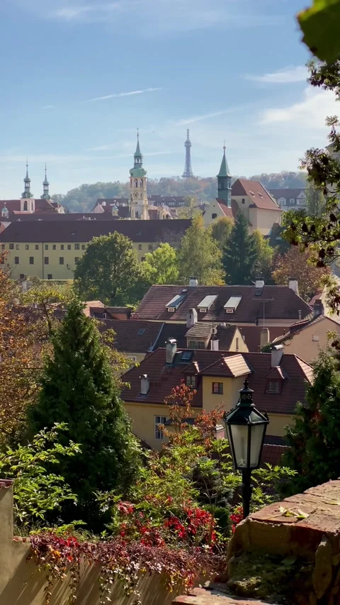 View of the park, towers and orange roof... | Stock Video | Pond5