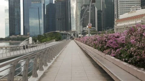 view of pathway walkway along marina bay... | Stock Video | Pond5