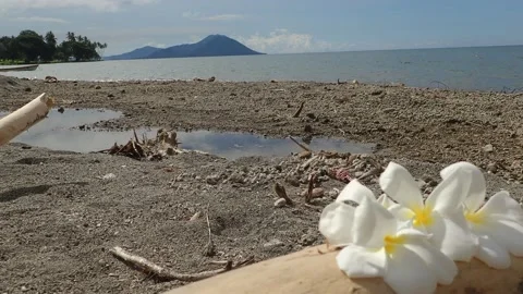 View to Rabaul volcano with Frangipanni ... | Stock Video | Pond5