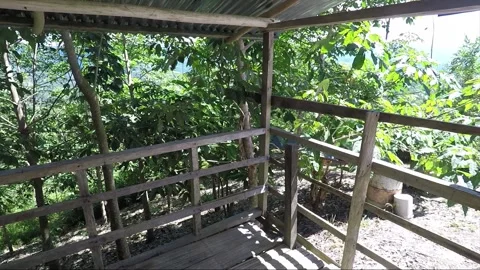 View from the rest house at the hill slo... | Stock Video | Pond5