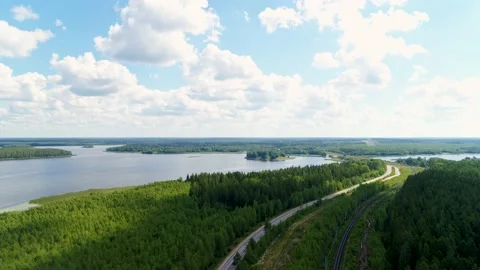 Straight Forest Road Stock Videos – Royalty-Free HD & 4K Videos