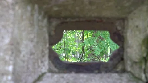 View through shooting manhole to the for... | Stock Video | Pond5