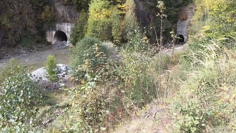 Man Made Plants Stock Videos – Royalty-Free HD & 4K Videos | Pond5