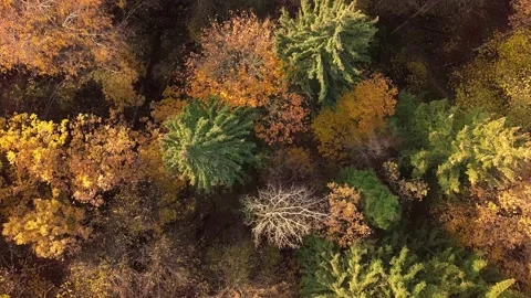 View vertically down from the top of the... | Stock Video | Pond5