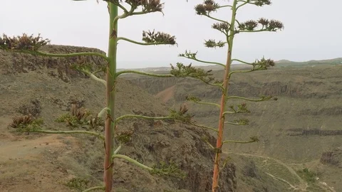View from viewing point in centre of Gra... | Stock Video | Pond5