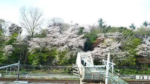 View from windows of Shinkansen high spe... | Stock Video | Pond5