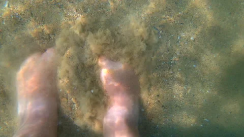 Toes Stock Video Footage | Royalty Free Toes Videos | Pond5