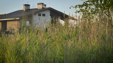A village house appears on the shore of ... | Stock Video | Pond5