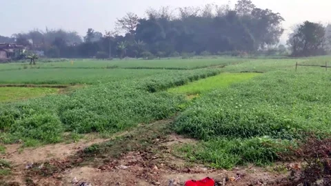 Village scene of rural India. | Stock Video | Pond5