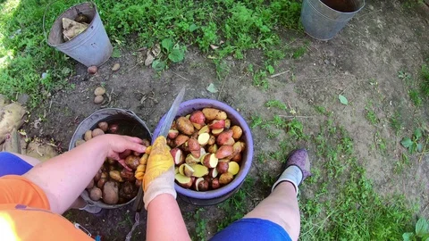 Real Villager Stock Videos – Royalty-Free HD & 4K Videos | Pond5