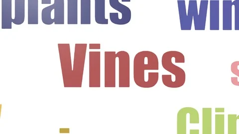 Animated Vines Stock Footage ~ Royalty Free Stock Videos | Pond5