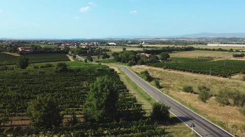Vineyard land in Italy, aerial view. Whi... | Stock Video | Pond5