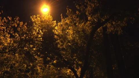 Vintage Amber Street Light | Stock Video | Pond5