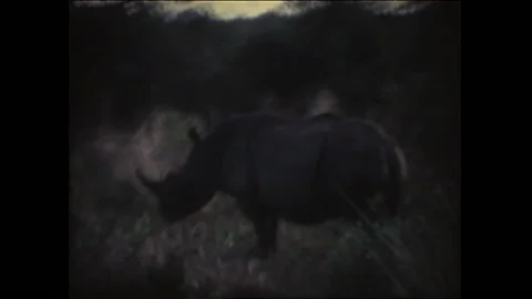 Hd ]S Stock Videos – Royalty-Free HD & 4K Videos