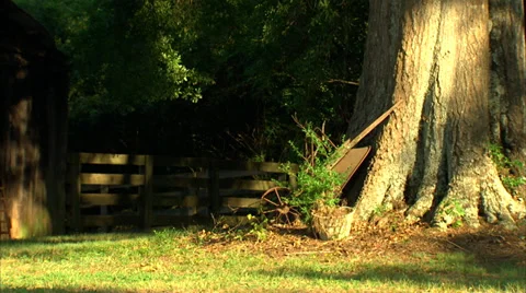 Vintage Riding Crop Stock Videos – Royalty-Free HD & 4K Videos | Pond5