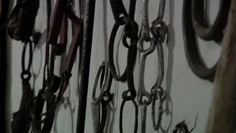 Horse Riding Strap Stock Videos – Royalty-Free HD & 4K Videos