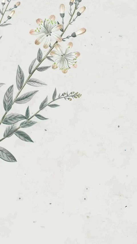 Vintage Aesthetic Wedding Stock Videos – Royalty-Free HD & 4K Videos ...