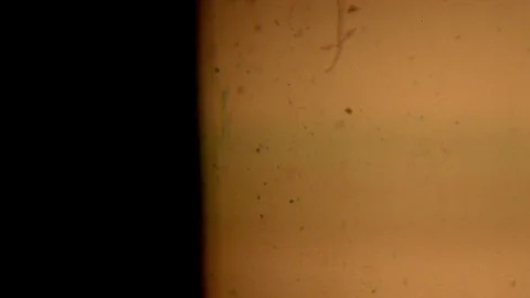 Old Film Dust and Scratches Stock Video Footage | Royalty Free Old Film ...