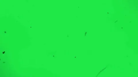 Vintage Old Film Grain VHS Effect Animat... | Stock Video | Pond5