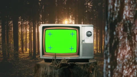 Forest Green Screen Stock Video Footage | Royalty Free Forest Green ...