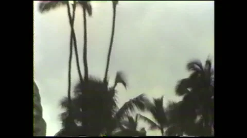 Vintage VHS 1980 Palm Trees in Downtown ... | Stock Video | Pond5